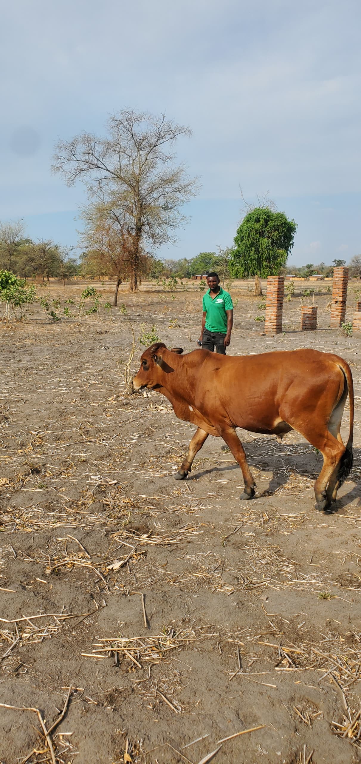 DMT Acres - Sustainable Farming in Malawi